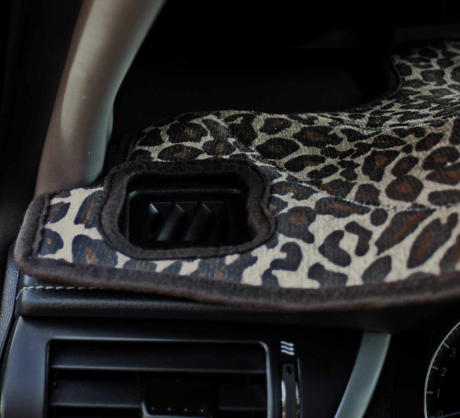 Nissan cube dash mat store